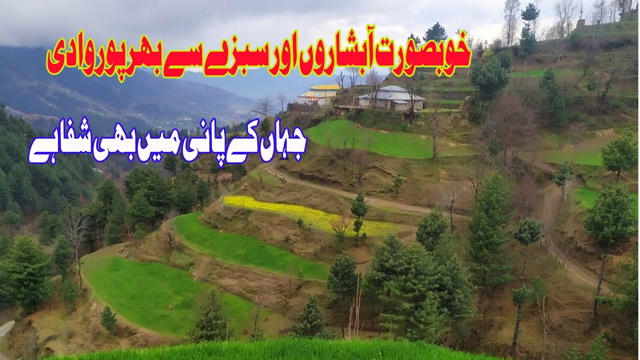 Travel to konsh Valley Mansehra | Hidden Valley and Meadows of Mansehra ...
