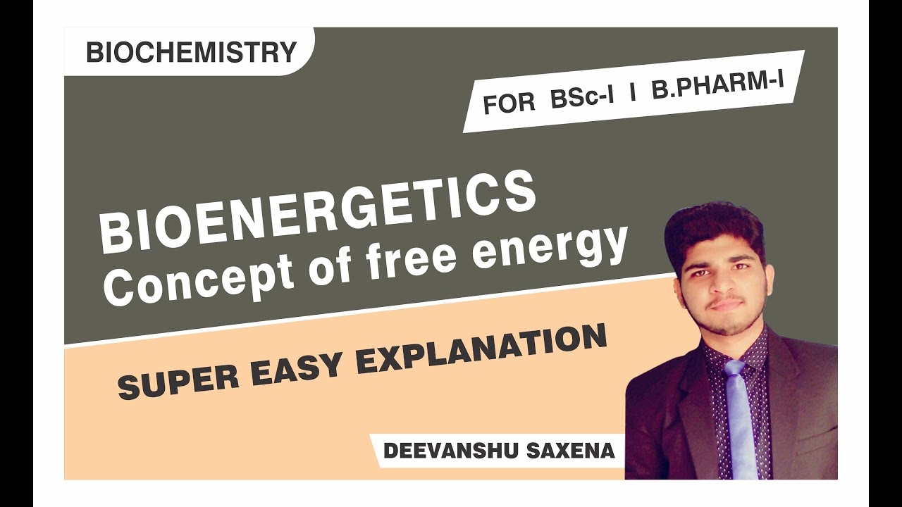 Concept of free energy I Bioenergetics I Biochemistry - YouTube