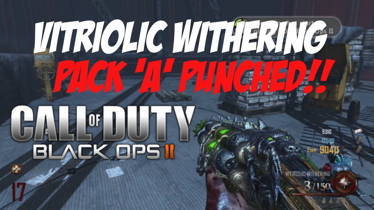 AMAZING 'VITRIOLIC WITHERING' WONDER GUN - Mob Of The Dead Gameplay ...