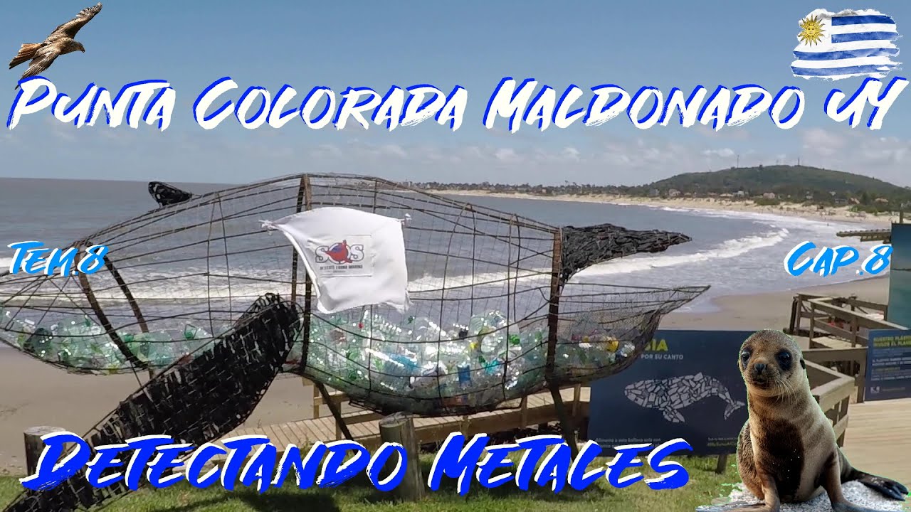 Buscando Metales en las Playas de Uruguay. Punta Colorada Maldonado 🇺🇾 ...