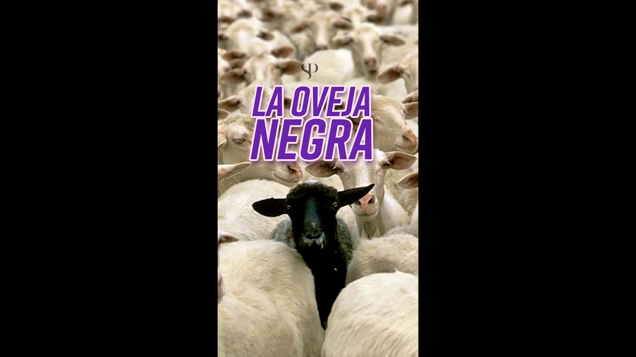 La Oveja Negra. - YouTube