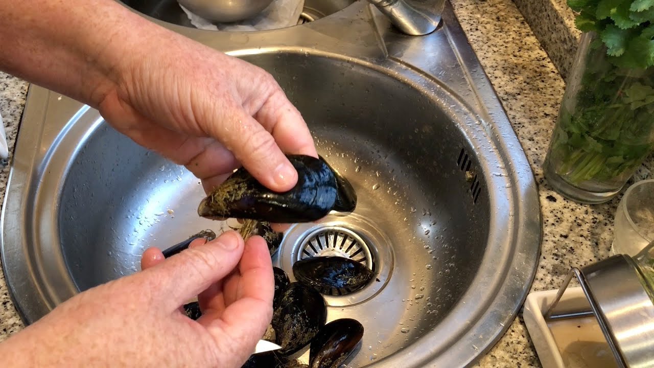 How to Prepare and Cook Mussels - YouTube