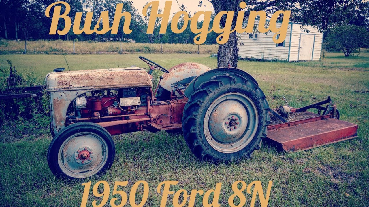 Heavy Bush Hogging with 1950 Ford 8N (POV camera) - YouTube