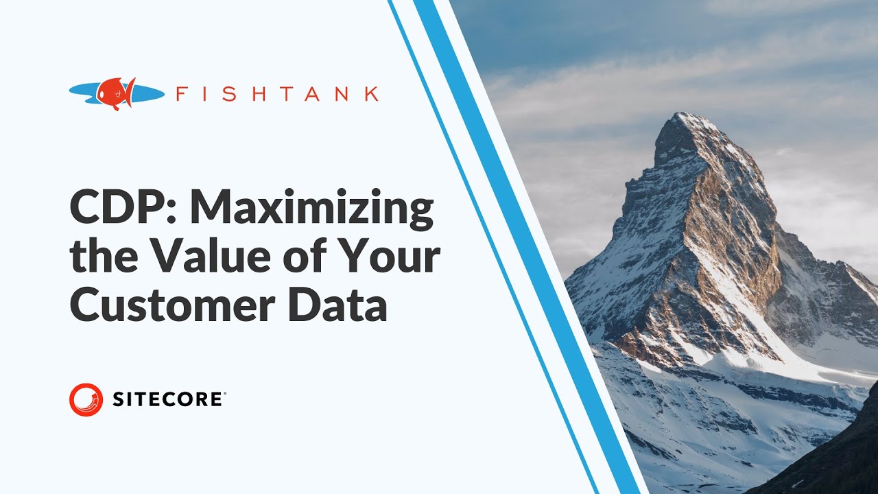 CDP Webinar: Maximizing The Value Of Your Customer Data - YouTube