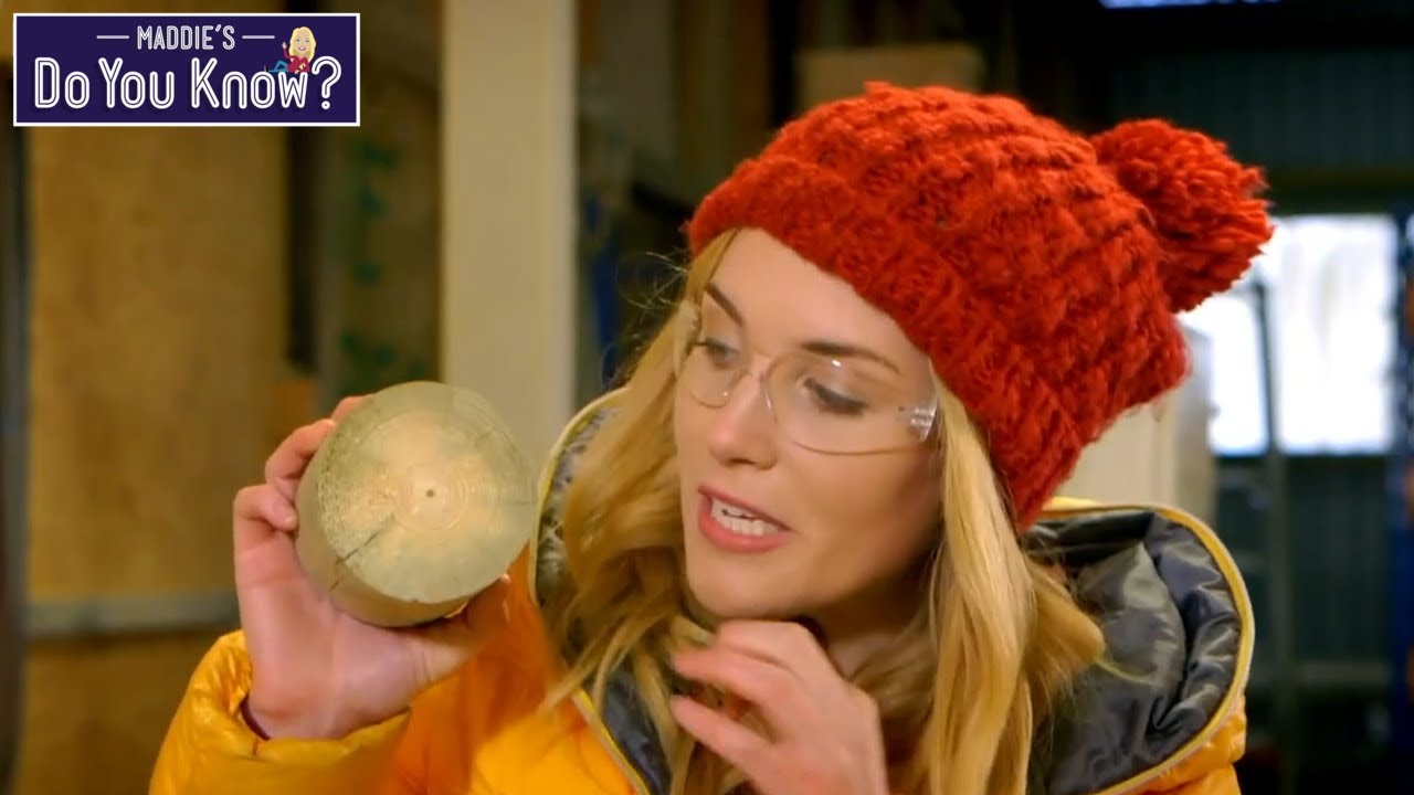 How Does It Work? - Compilation | Maddie's Do You Know 👩 - YouTube