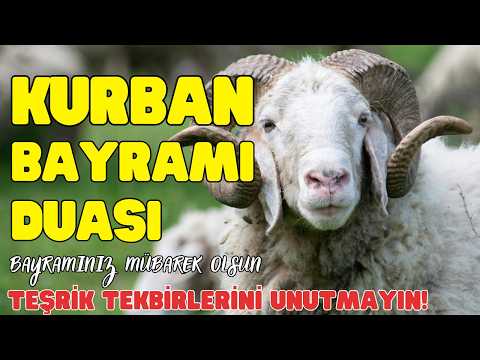 Kurban Bayramı Duası | Hayırlı, Bereketli Bayramlar Diliyoruz!