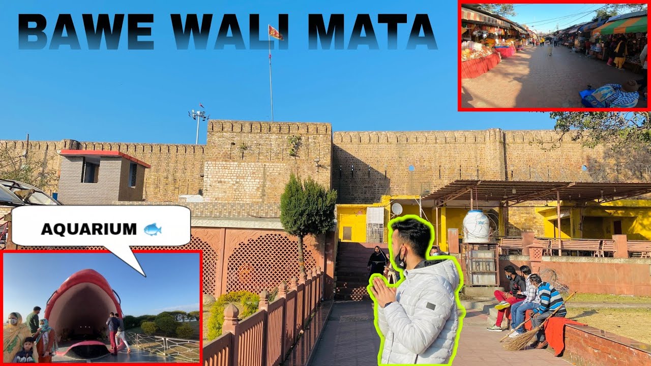 Bawe bali mata / INDIA Largest underground AQUARIUM #jammu #aquarium # ...