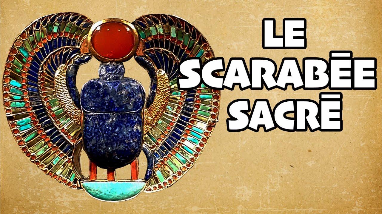 Pourquoi le SCARABEE était vénéré par les égyptiens de l'antiquité ...