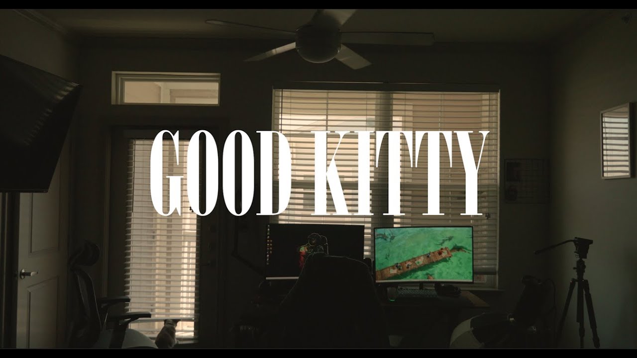 Cine Kitties #3 [Good Kitty] - YouTube