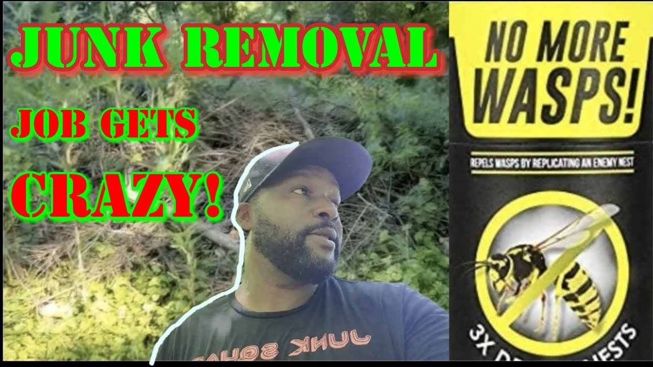 Junk Removal Vlog, Crazy Junk Removal Job! A day In The Life - YouTube