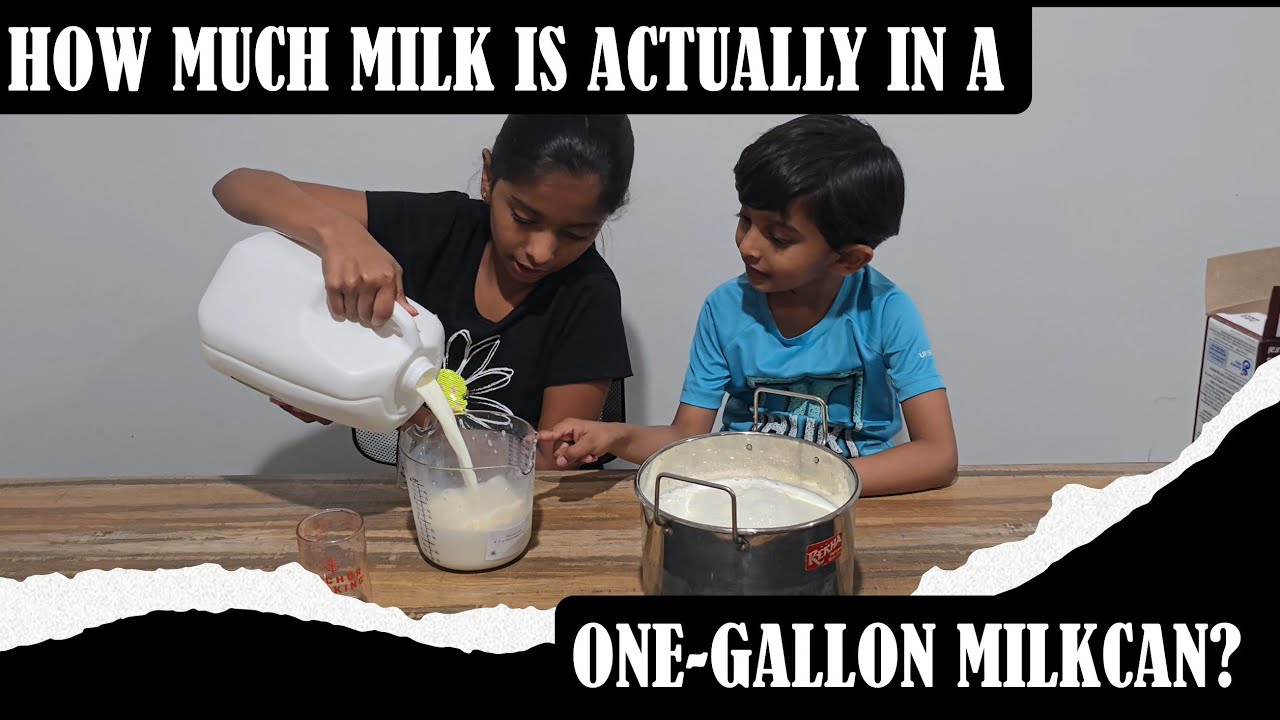 How much milk actually in a one-gallon milk can? - YouTube