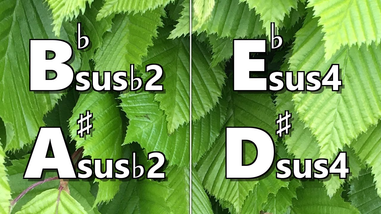 Bbsus b2 (A#sus b2) to Ebsus4 (D#sus4) Backing Track - YouTube