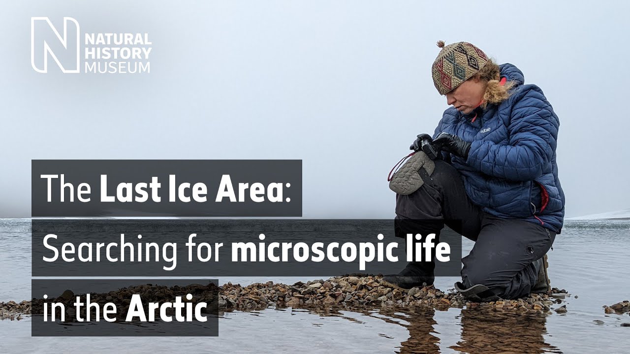 The Last Ice Area: Searching for microscopic life in the Arctic ...