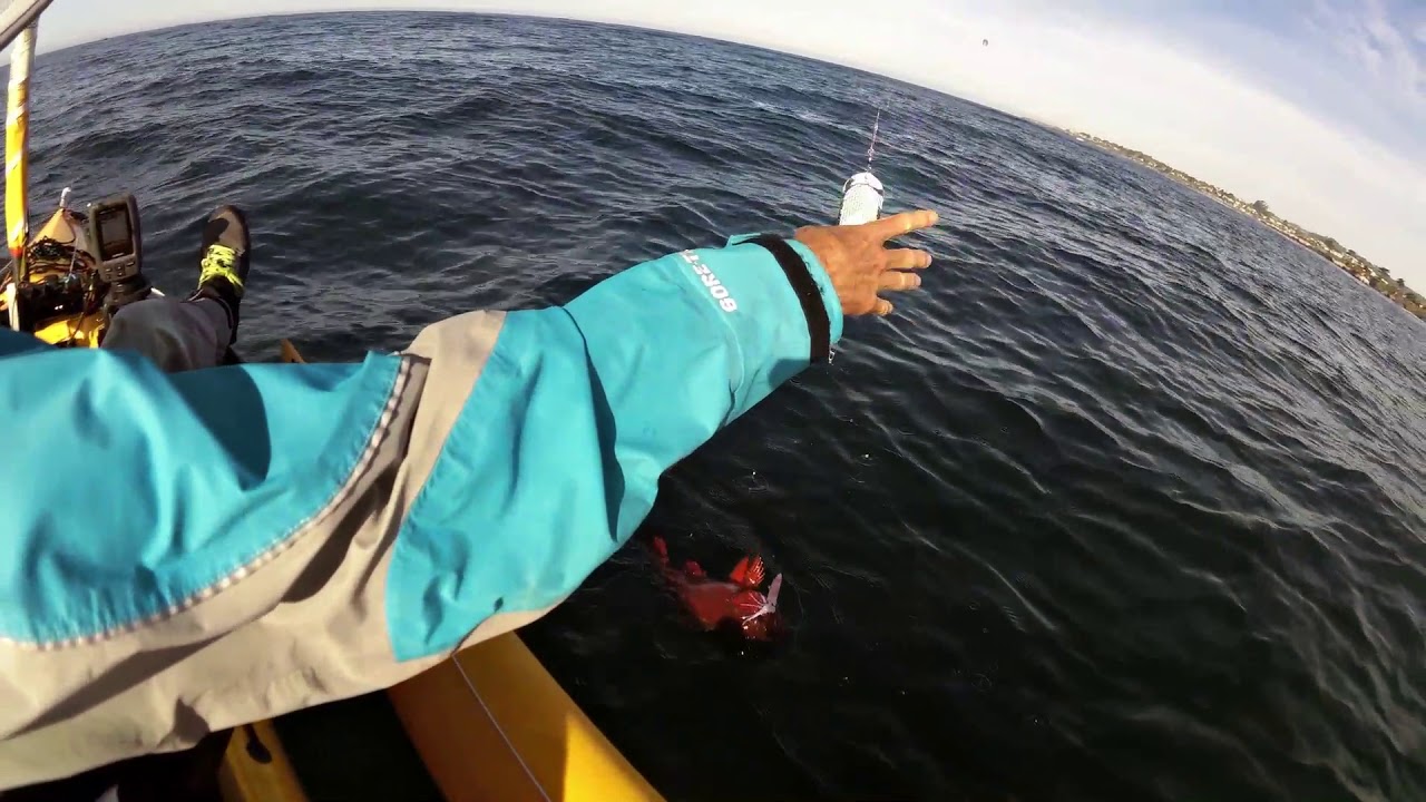 Santa Cruz halibut 6/15/20 - YouTube