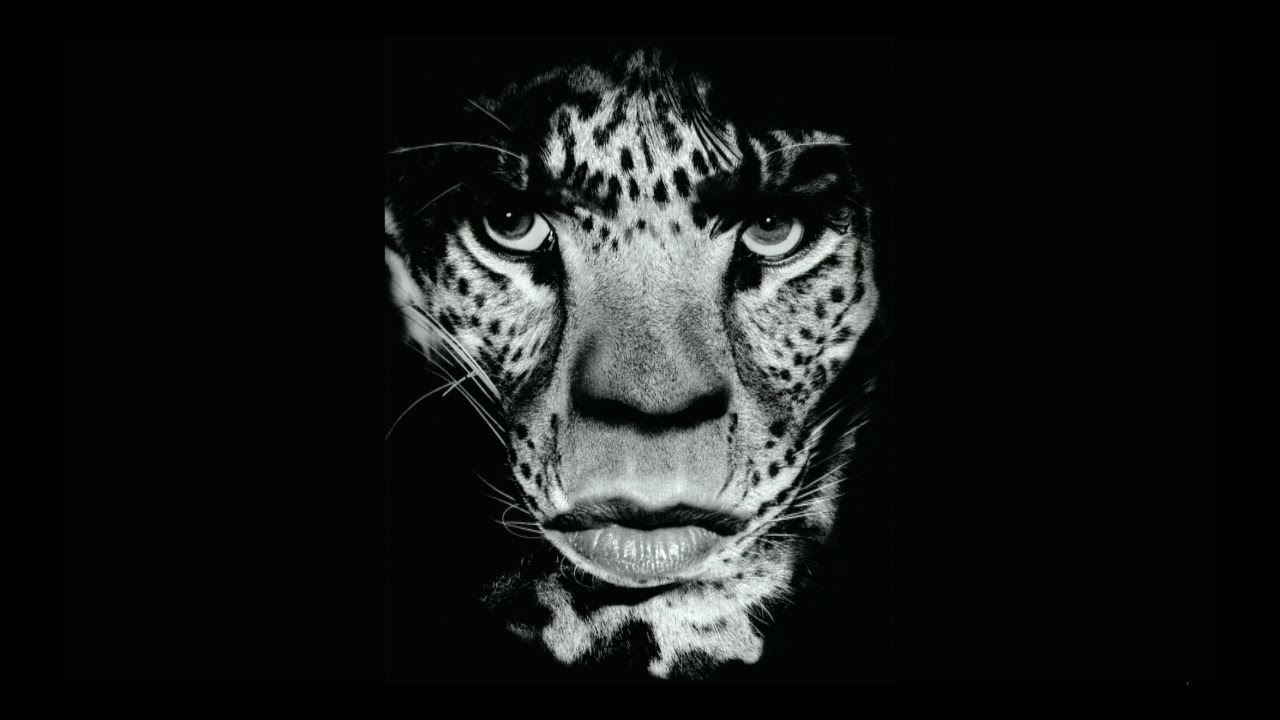 Photographer Albert Watson - YouTube