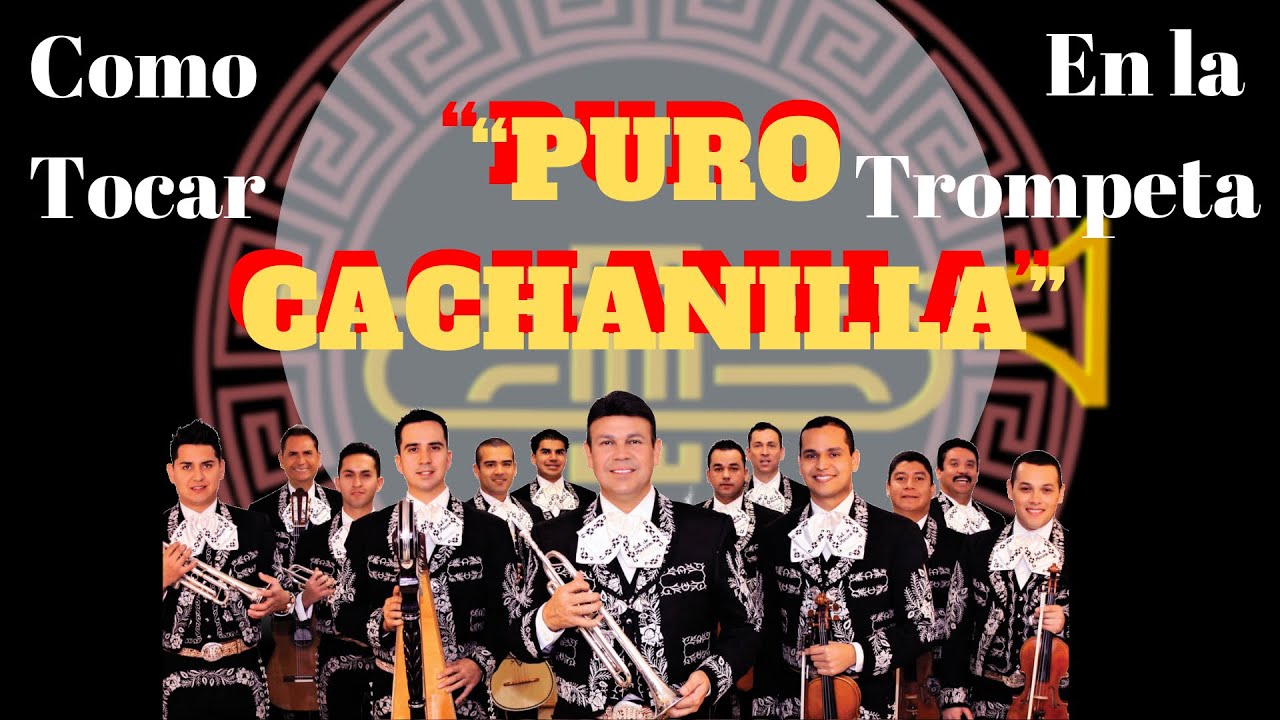 Como tocar “Puro Cachanilla” 3/4 ranchera Mariachi Sol de Mexico en FA ...