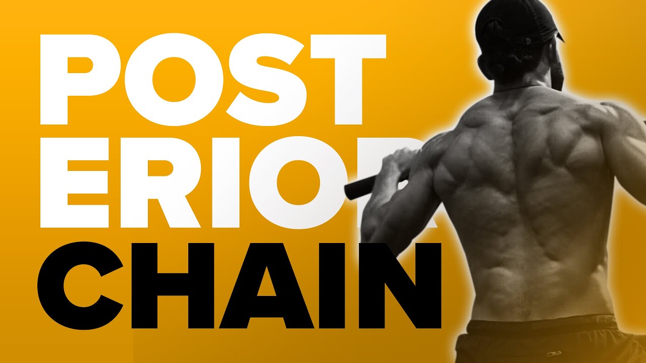 The Posterior Chain: Why it's so Important - YouTube