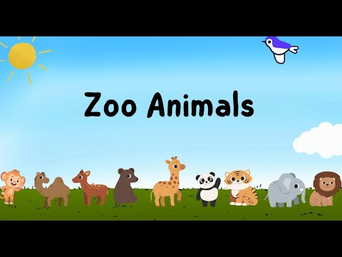 Learn Zoo Animals Learn with cartoon - YouTube