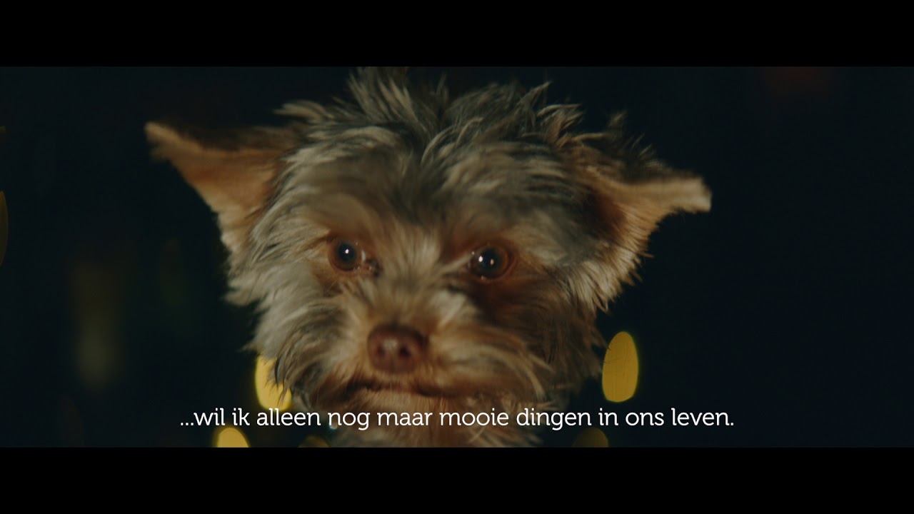 Frekkel De Film - YouTube