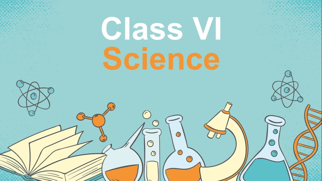 Class VI Science Lecture 2 - YouTube