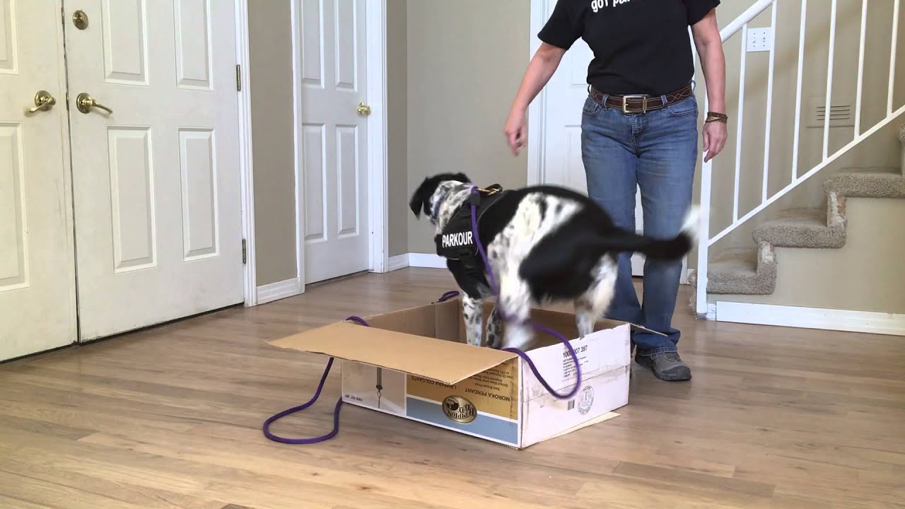 Course One In: Cardboard Box - YouTube