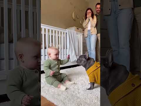 What patience! The dog that knows the baby is still learning