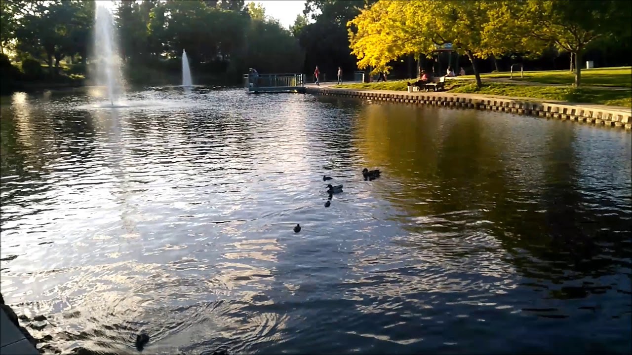 Сакраменто /Адаптация в США /Прогулка в парке Howe Park /в Америку ...