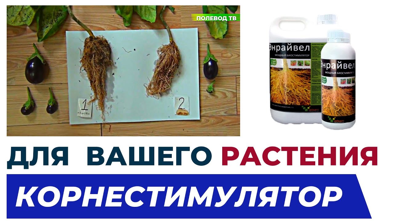 МОЩНЫЙ КОРНЕСТИМУЛЯТОР ДЛЯ ВАШЕГО РАСТЕНИЯ! #агробизнес #агроном # ...