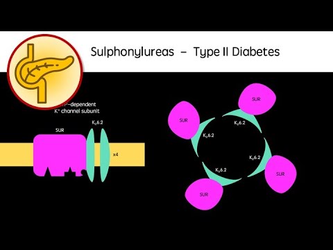 Sulphonylureas - Type II Diabetes - YouTube