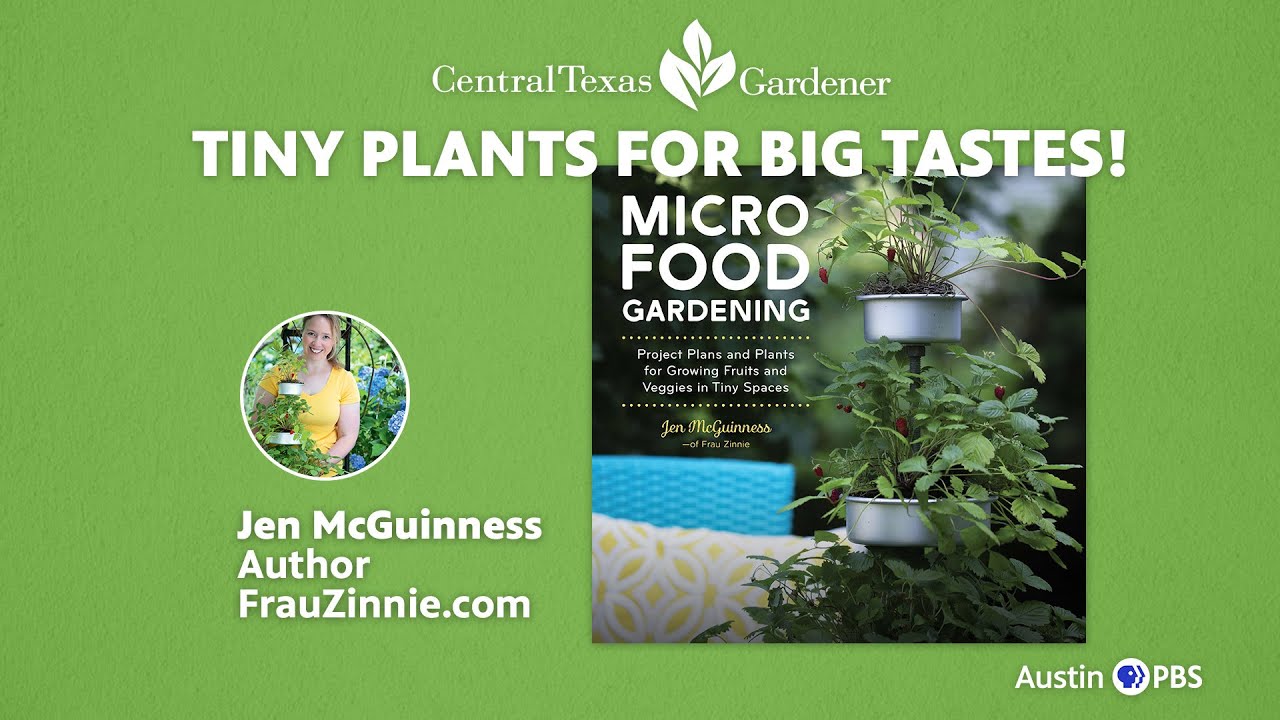 Tiny Plants for Big Tastes |Jen McGuinness - YouTube