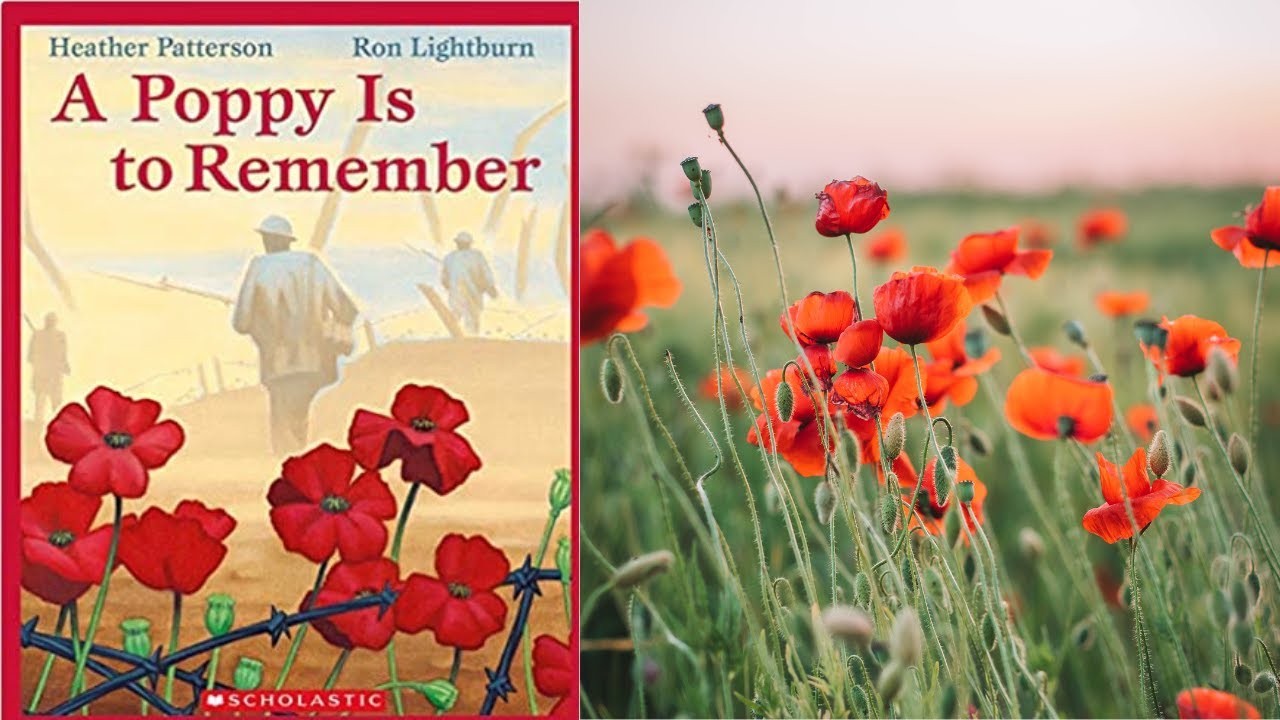 A Poppy Is to Remember - YouTube