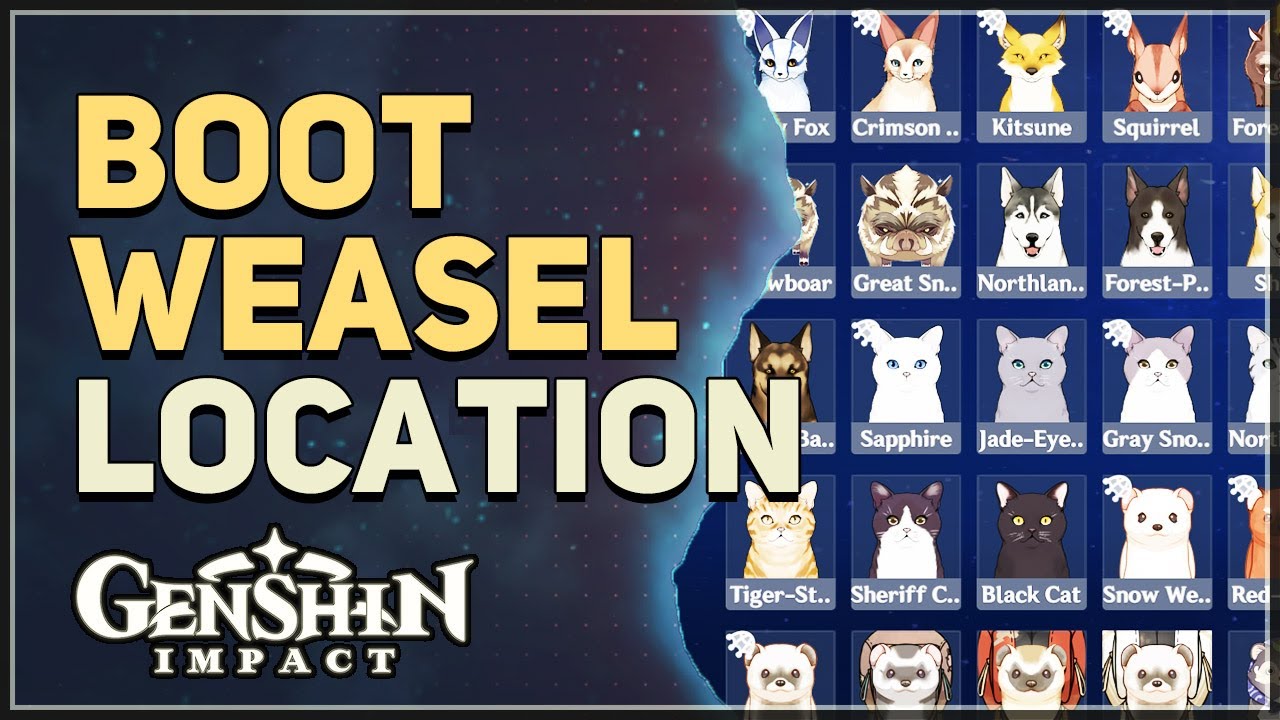 Boot Weasel Location Genshin Impact - YouTube