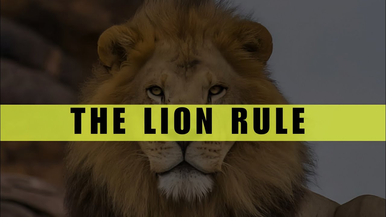 THE LION RULE | Epic Motivational Video In English || The Pro Motivator ...