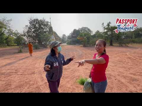 A Special Invitation at a Thailand Temple - And a Monk Called Poom - YouTube