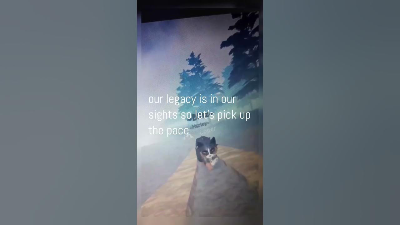 we own the night (warrior cats) (dog-wolf rp) - YouTube