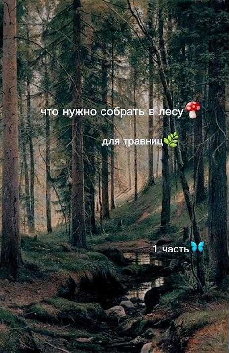 Для травниц 🌿🍄 🏻 - YouTube