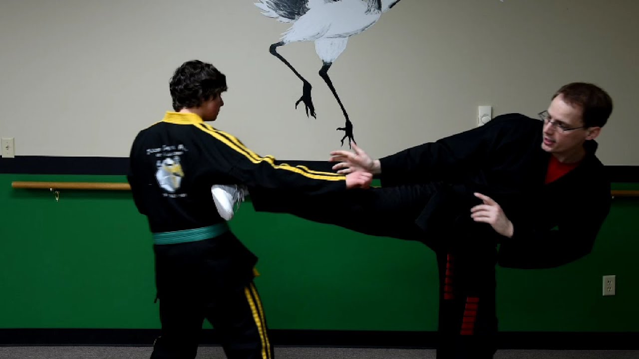 Shaolin White Crane Kempo/Kenpo Downward Filing Block - YouTube