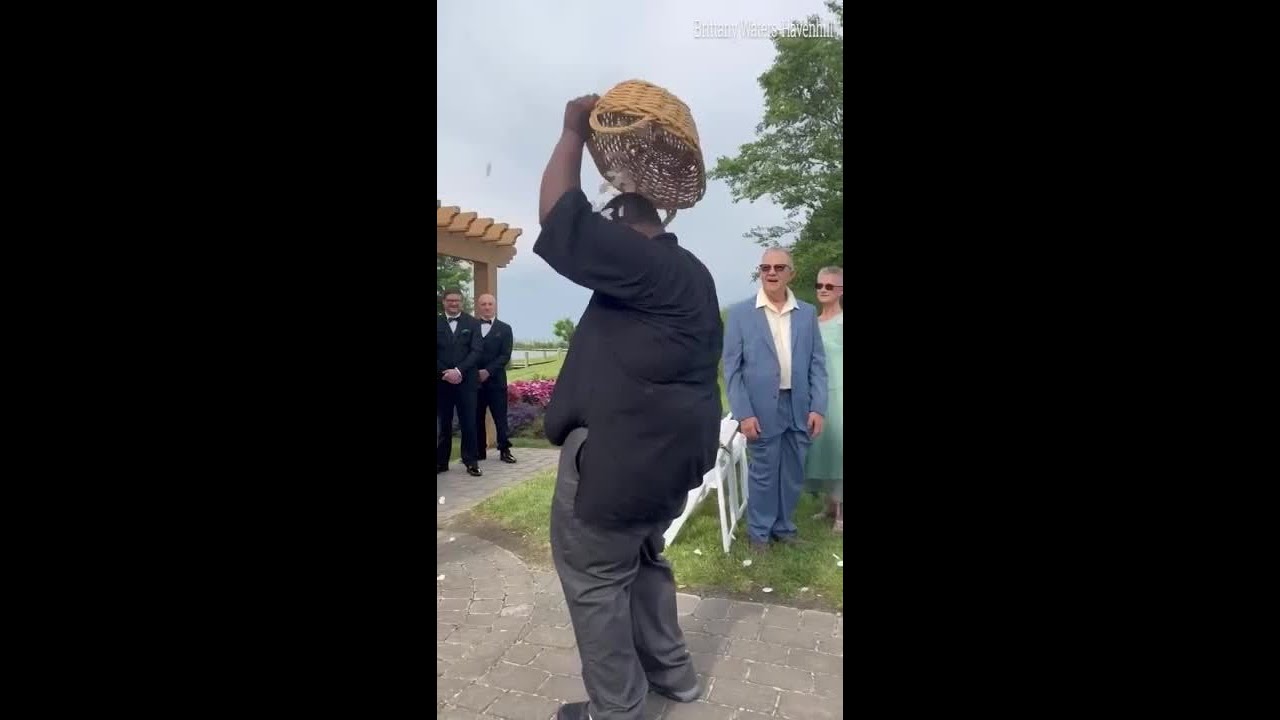 'Flower Man' goes viral at cousin's wedding in North Beach - YouTube