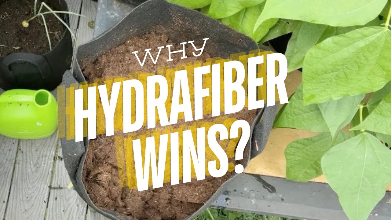 Discover What Makes HydraFiber ♻️ the Best Alternative to Peat Moss!🌱 ...