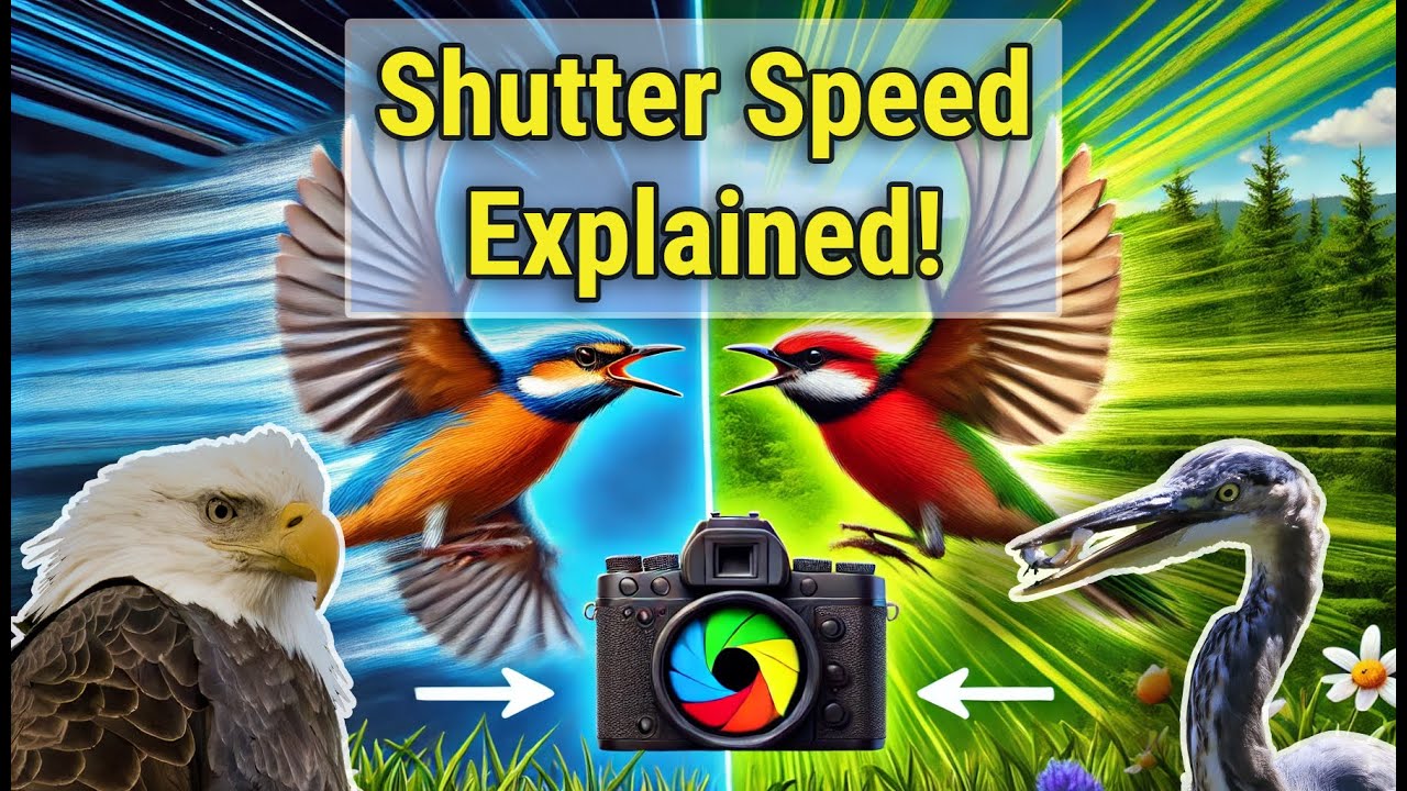 Shutter Speed Explained: Stop Motion or Blur Like a Pro! - YouTube