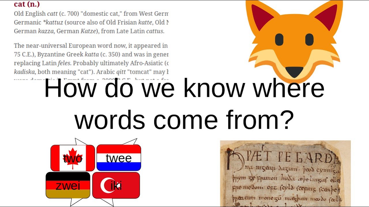 How do we know where words come from - YouTube