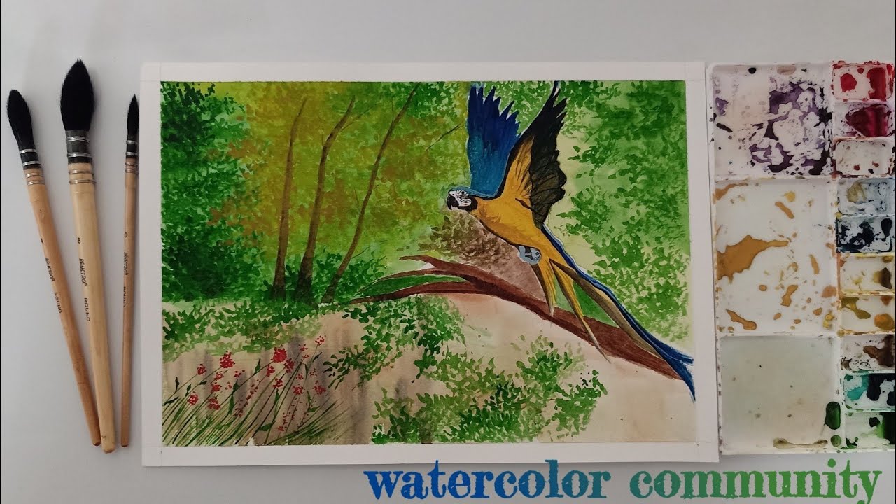 watercolor parrot drawing easy for beginners | watercolor parrot ...