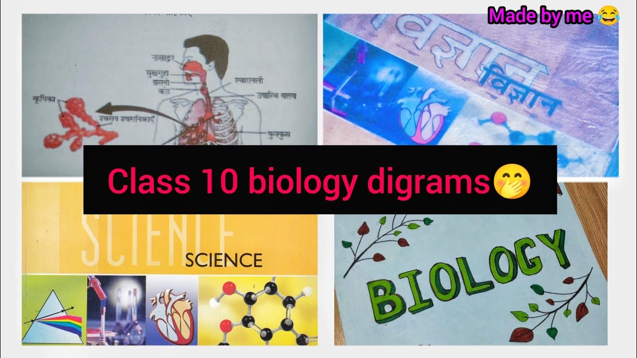 (CBSE) class 10 all science digrams made by me 😂🤭.#cbseclass10 #biology ...
