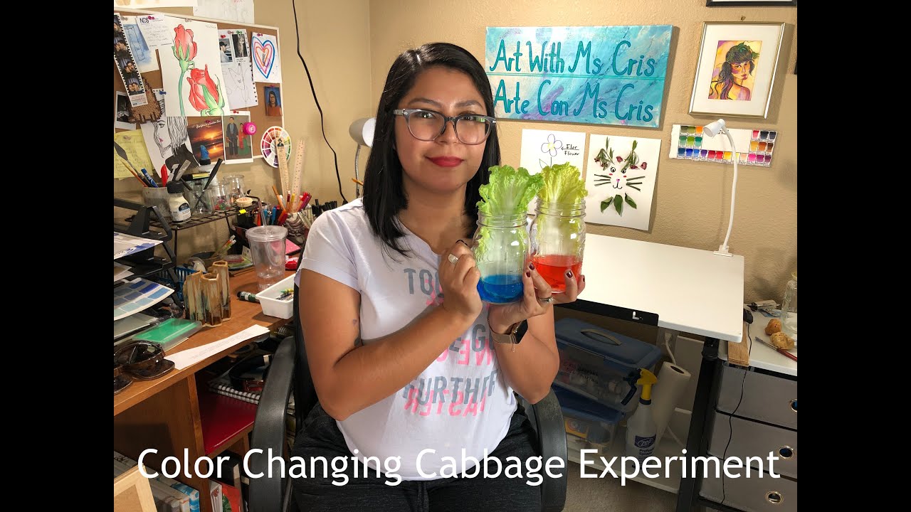 Color Changing Cabbage Experiment | Preschool Science - YouTube