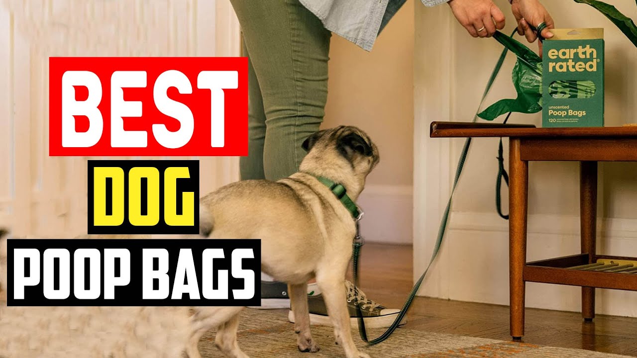 Top 5 Best Dog Poop Bags for Poops of All Shapes and Sizes in 2025 ...