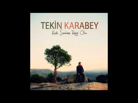 Tekin Karabey - Anamın Dilinden Baktım Sözlüğe 2014