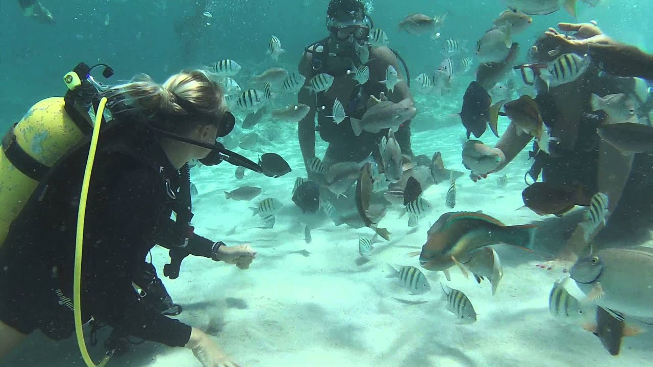 Loop scuba 2 - YouTube