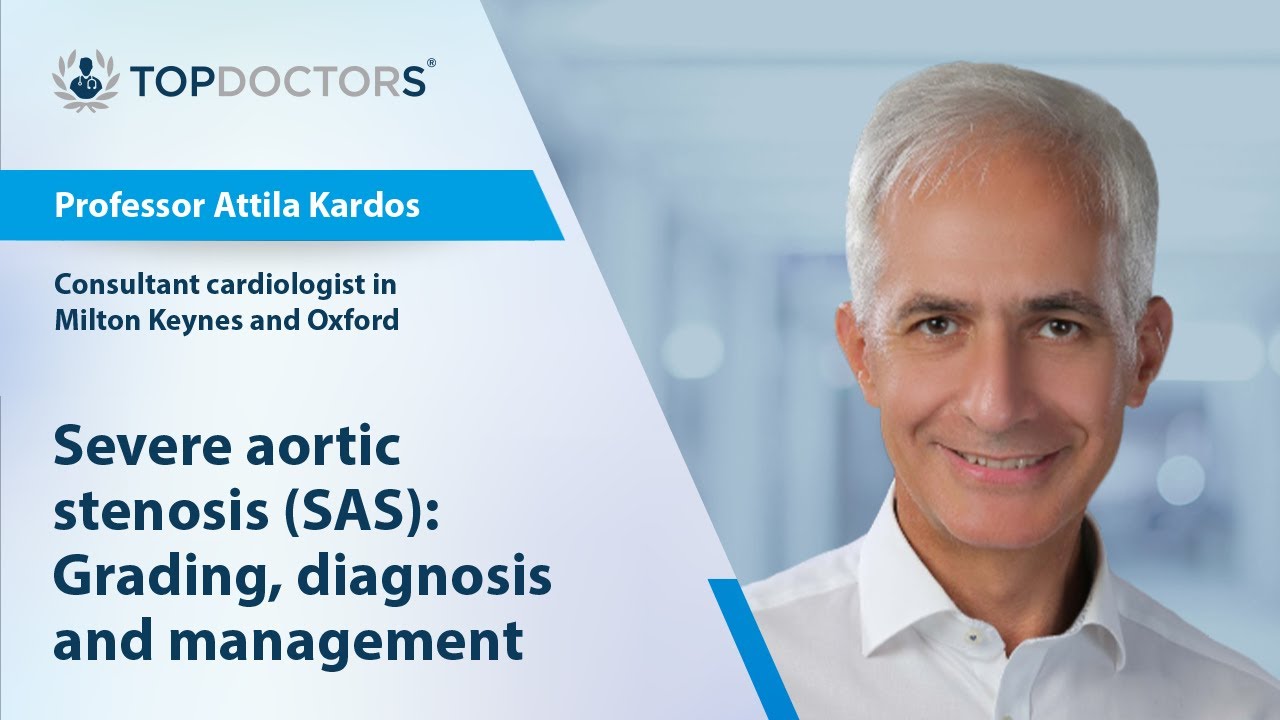 Professor Attila Kardos - Severe Aortic Stenosis Presentation at BSEcho ...