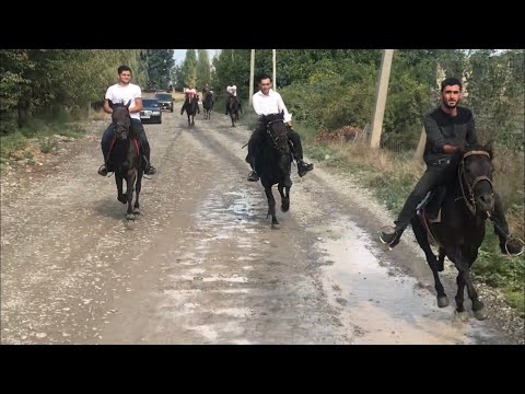 Yorga Atlar Agdam-Berde igidleri💪