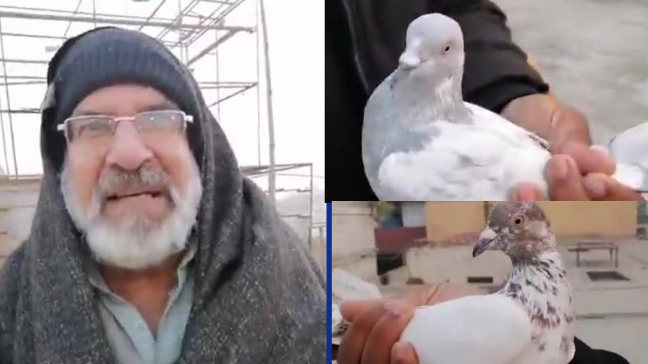 ustad Moiz sheikh of lahore ki chat se... - YouTube